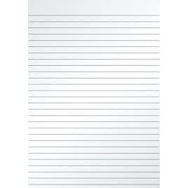A4 Office Pads - White Ruled (80 sheets) – Teaco Industrial & Safety ...